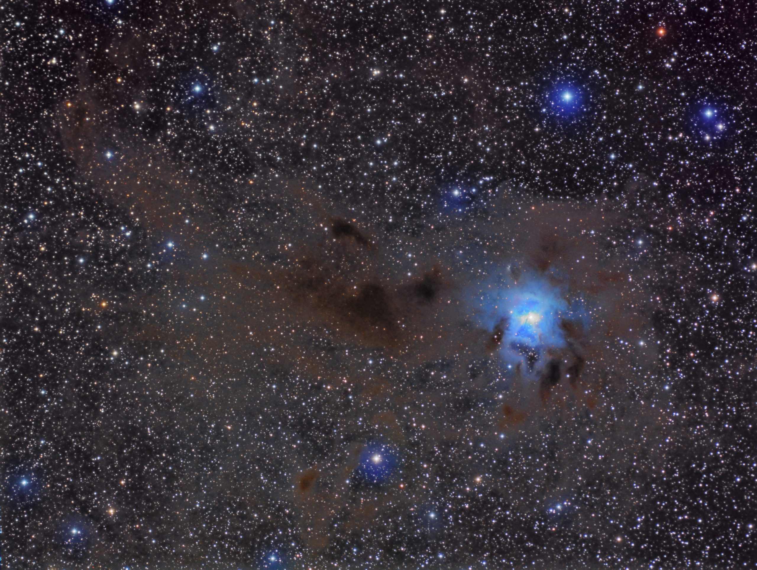 Iris Nebula - Deep Space Photography